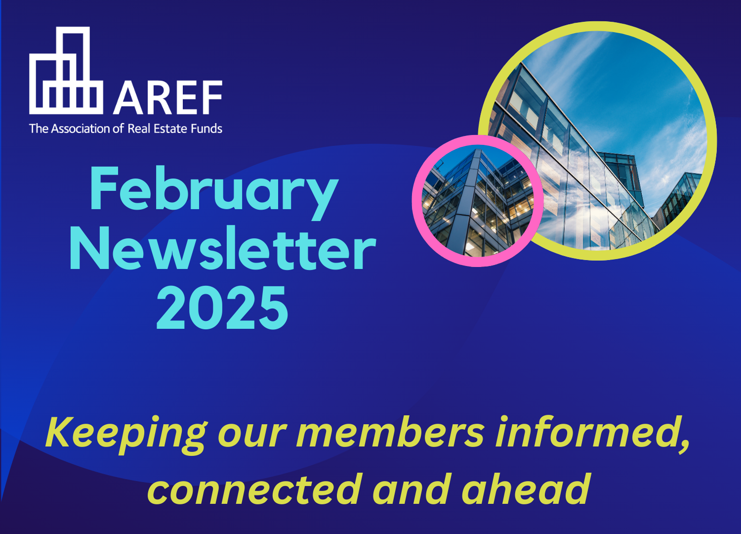 AREF Newsletter - February 2025